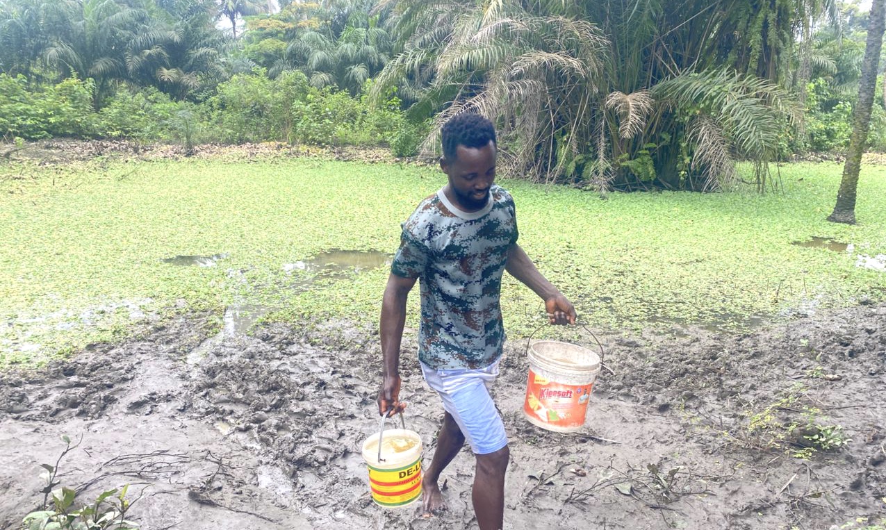 Ghana: water crisis- Kwesitwikrom residents share stream water with ...